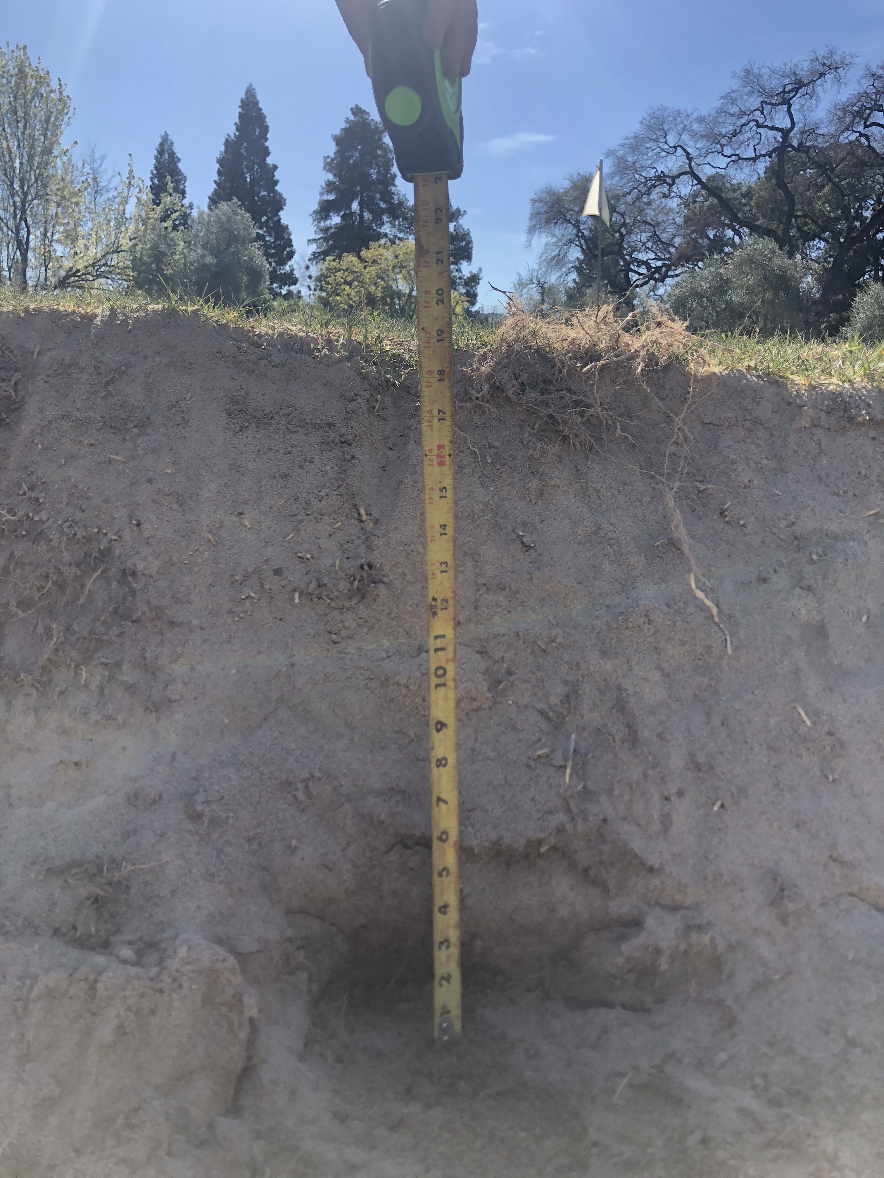 Driving Range Project Week 1 – Sonoma Agronomy